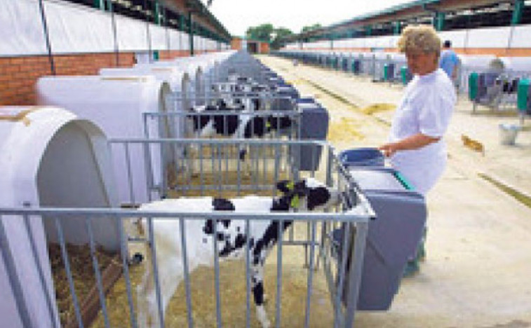 Agroanalitičar Goran Đaković: Sajam Agro Belgrejd propagira Otvoreni ...